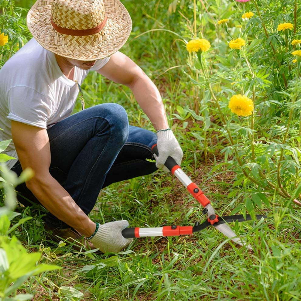 Heavy Duty Telescopic Tree Branch Limb Cutter Trimmer Tool – Until Times Up